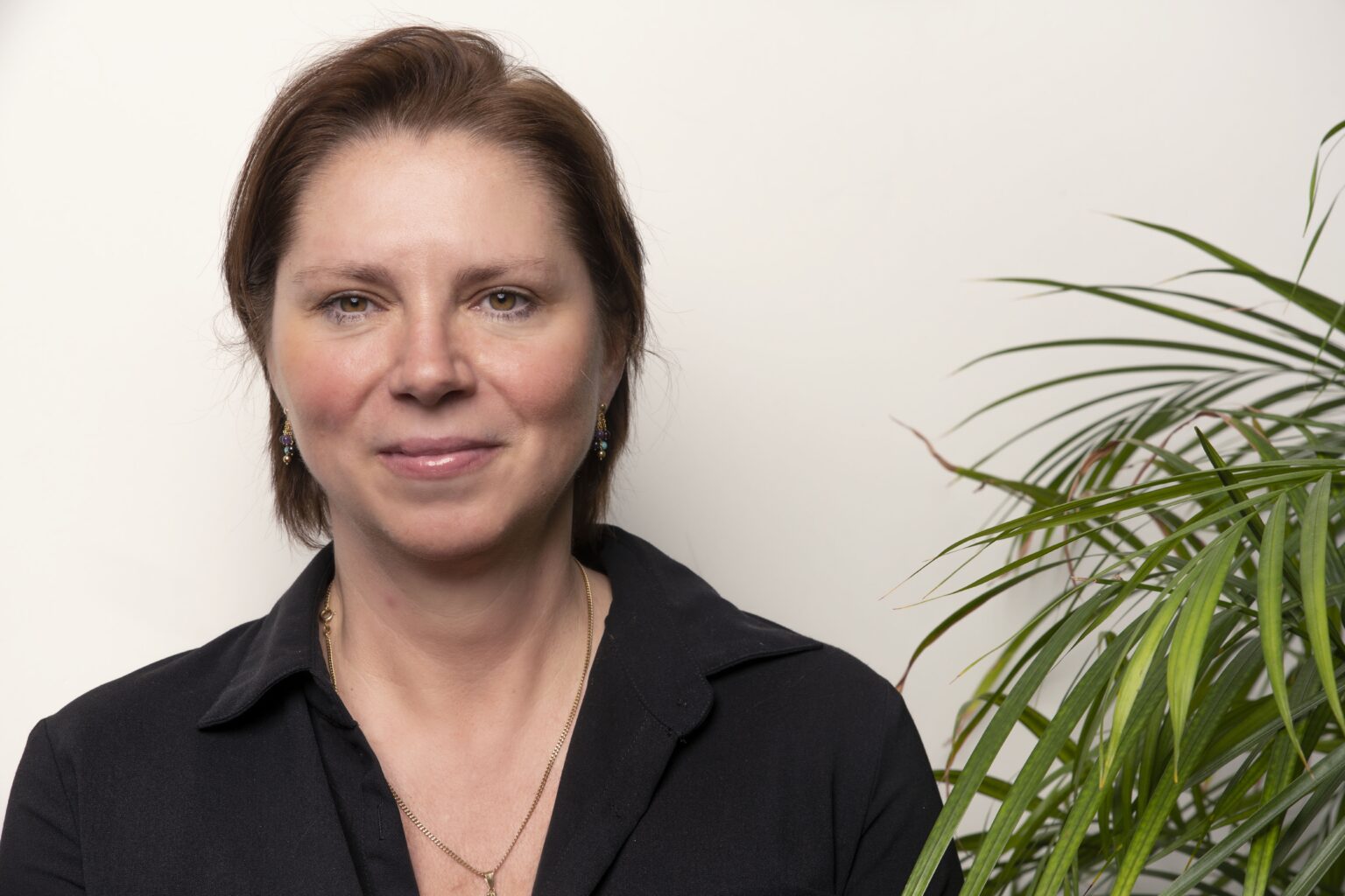 Wie zijn we? – eye doctors